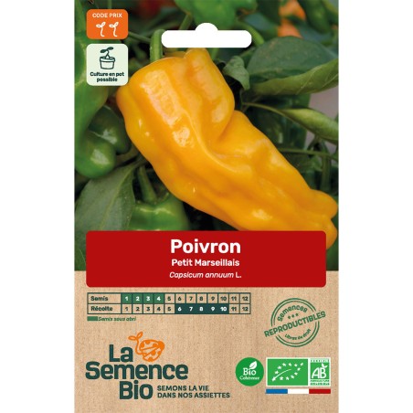 POIVRON PETIT MARSEILLAIS BIO 🌶️ Livraison Gratuite