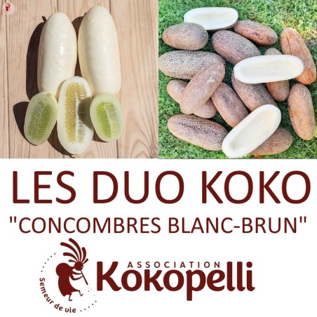 DUO CONCOMBRES BLANC-BRUN BIO - Kokopelli🥒 Livraison Gratuite