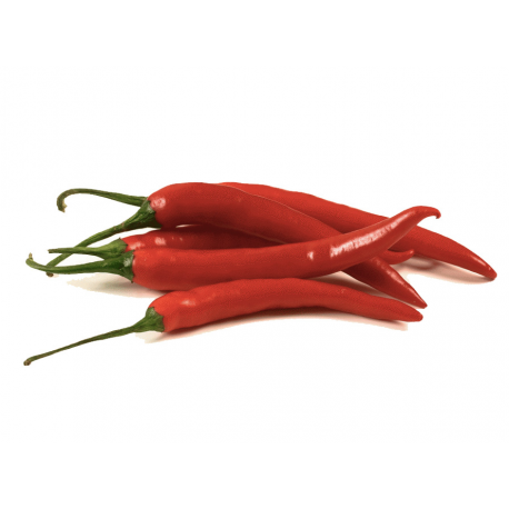 Piment TABASCO - Ferme de Sainte Marthe 🌱 Livraison Gratuite