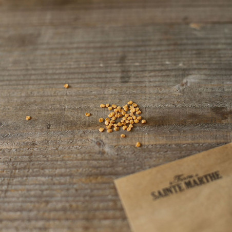 Mini Aubergine Bambino - Ste Marthe 🍆 Livraison Gratuite