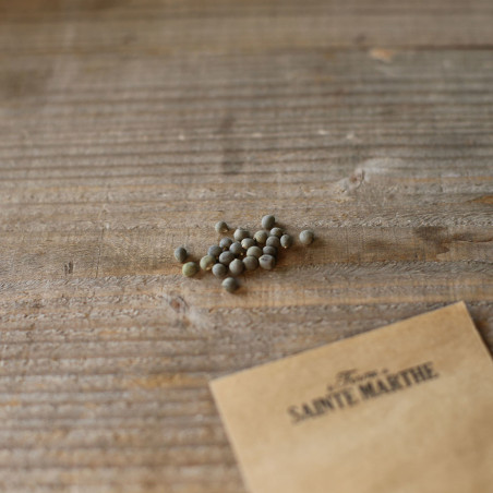 Graines d'Okra Gombo - Cultivez un légume exotique original