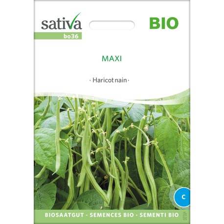 HARICOT NAIN MANGETOUT SANS FIL Maxi BIO 🫘