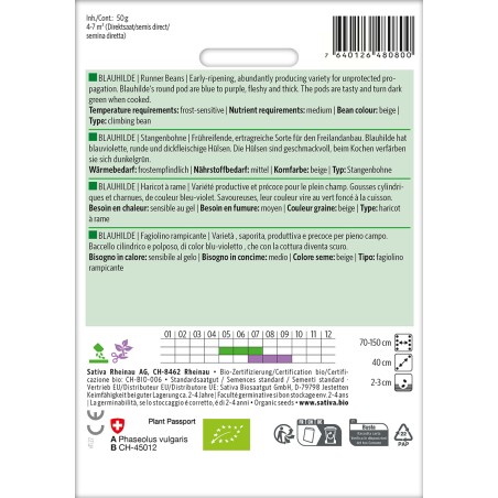 HARICOT À RAMES VIOLET MANGETOUT Blauhilde Bio - Livraison 0€