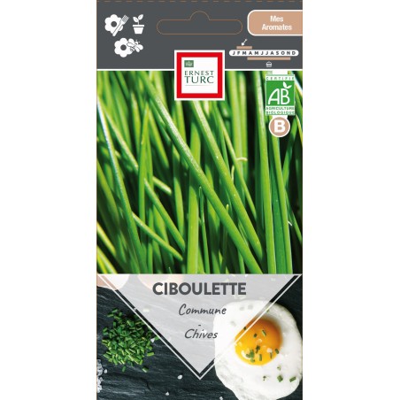 CIBOULETTE COMMUNE Bio 🌱 Livraison Rapide et Gratuite