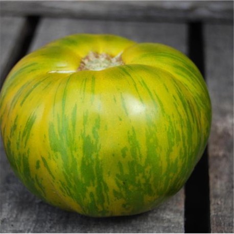 Tomate Green Zebra - Sainte Marthe 🍅 Livraison Gratuite
