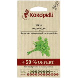 🌿 Semis du persil : conseils pour une germination réussie